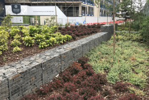 Fresh Wharf - Barking — Retaining Solutions